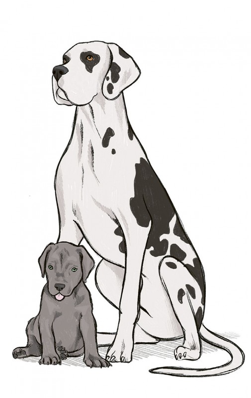 how to draw dog books